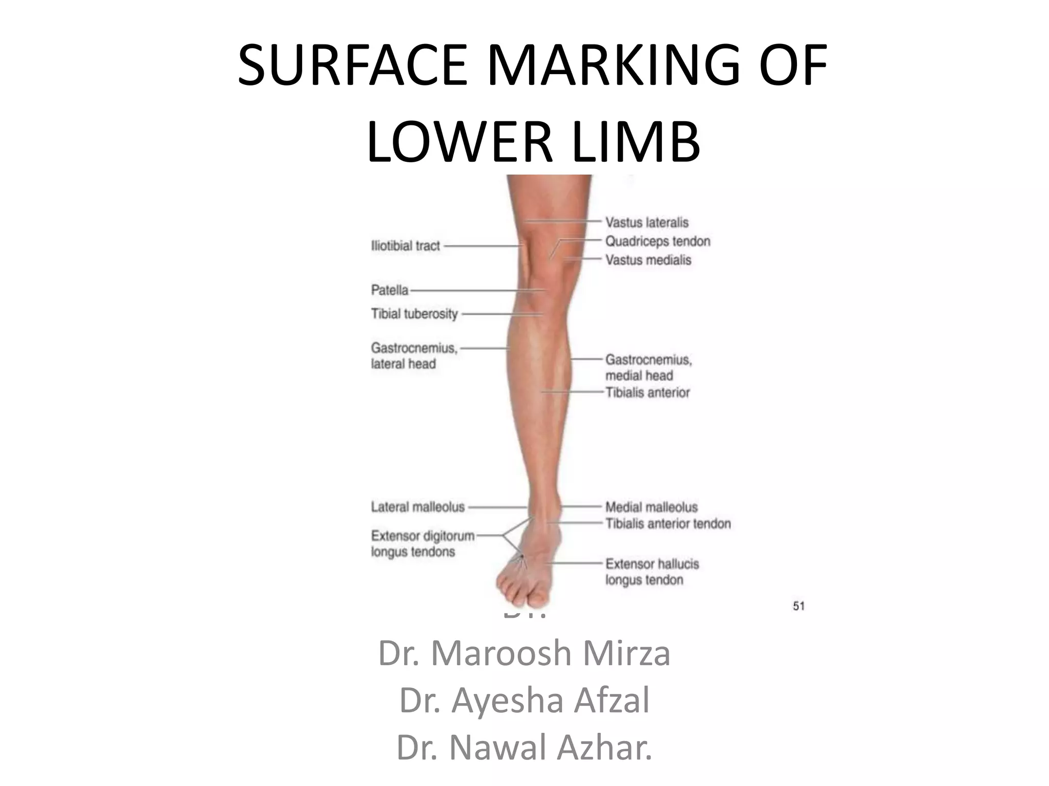 surface marking of lower limb.pptx