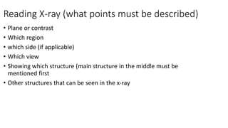 Surface marking radiology abdomen | PPT