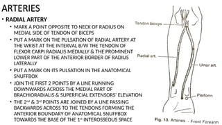 SURFACE MARKING & RADIOLOGY OF UPPER LIMB.pptx