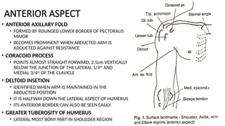 SURFACE MARKING & RADIOLOGY OF UPPER LIMB.pptx