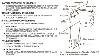 SURFACE MARKING & RADIOLOGY OF UPPER LIMB.pptx