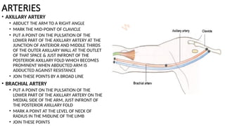 SURFACE MARKING & RADIOLOGY OF UPPER LIMB.pptx