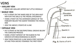 SURFACE MARKING & RADIOLOGY OF UPPER LIMB.pptx