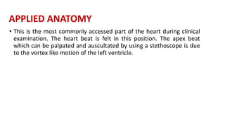 Surface Markings of Thorax.pptx