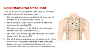 Surface Markings of Thorax.pptx