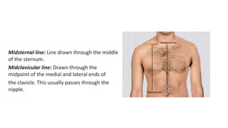 Surface Markings of Thorax.pptx