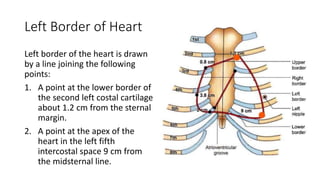 Surface marking thorax | PPTX
