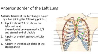 Surface marking thorax | PPTX
