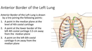Surface marking thorax | PPTX