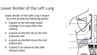Surface marking thorax | PPTX