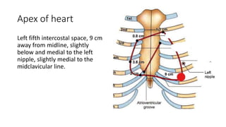 Surface marking thorax | PPTX