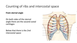 Counting Intercostal Spaces