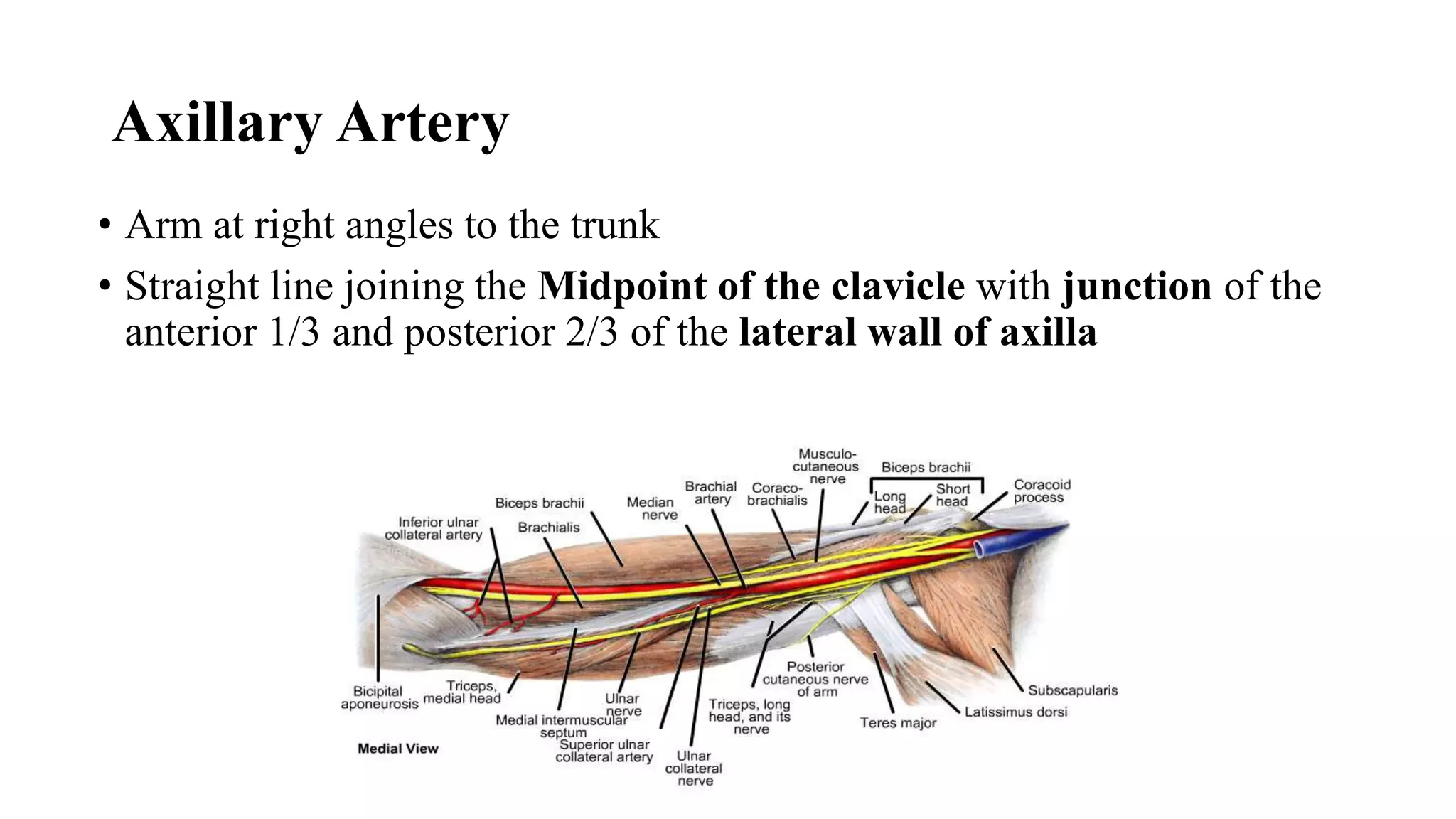 Surface marking upper limb | PPTX