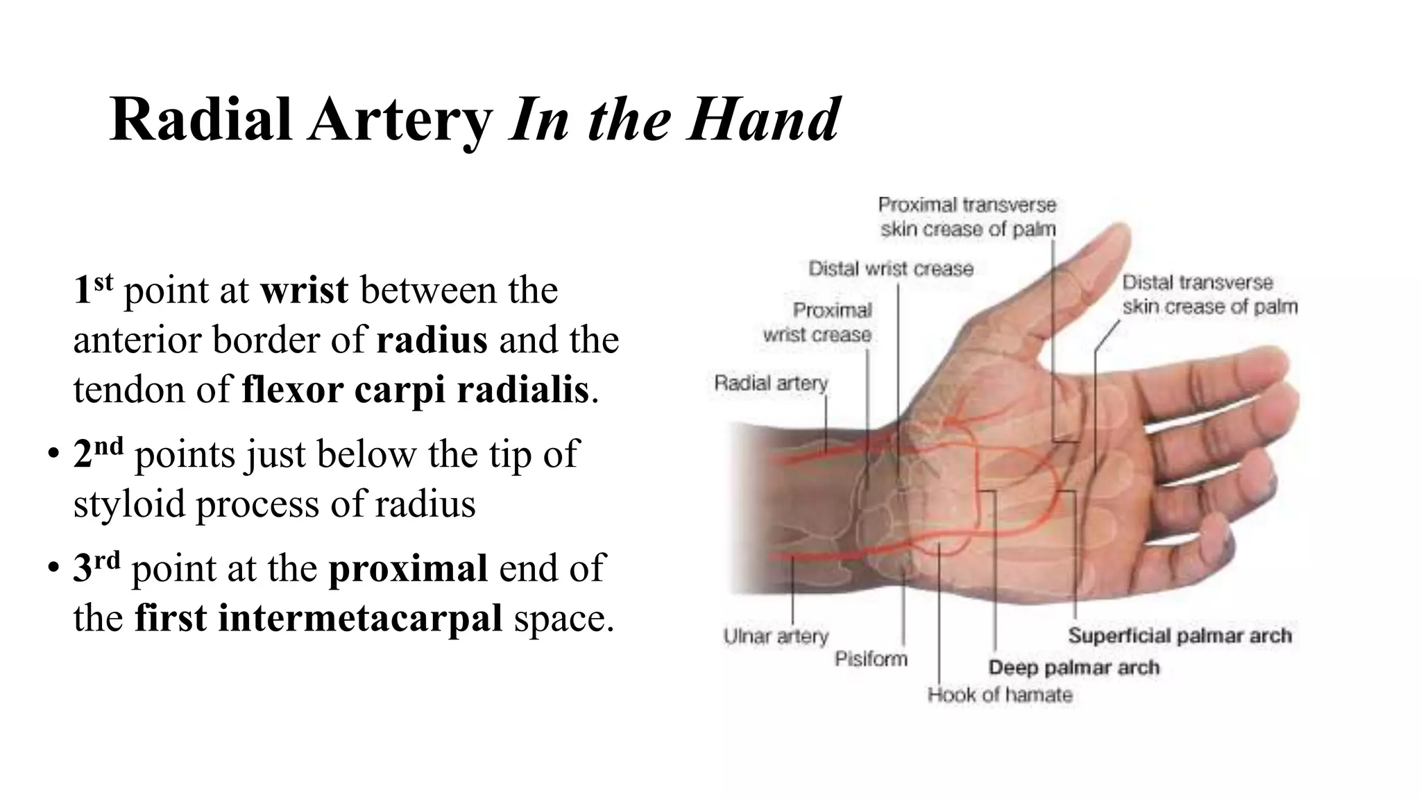 Surface marking upper limb | PPTX
