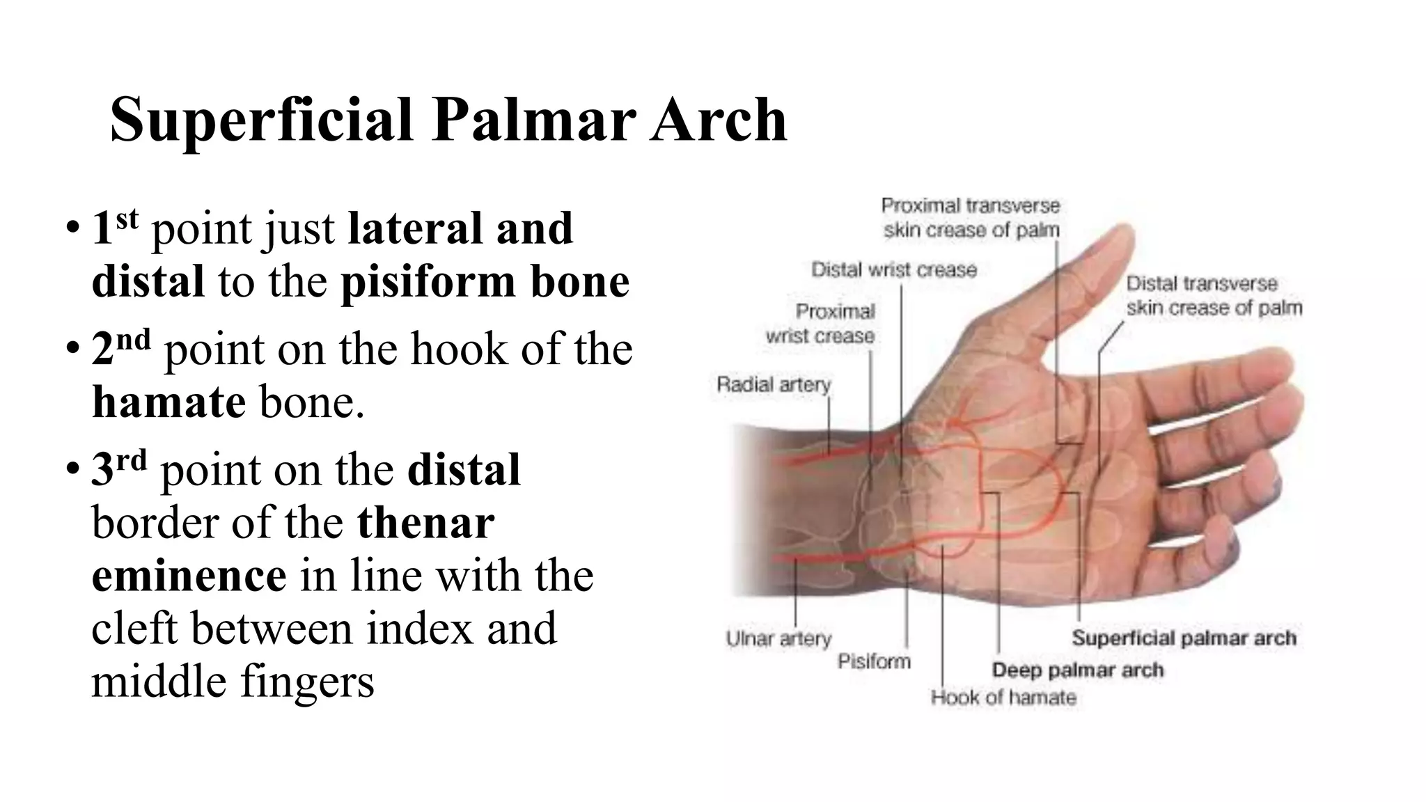 Surface marking upper limb | PPTX