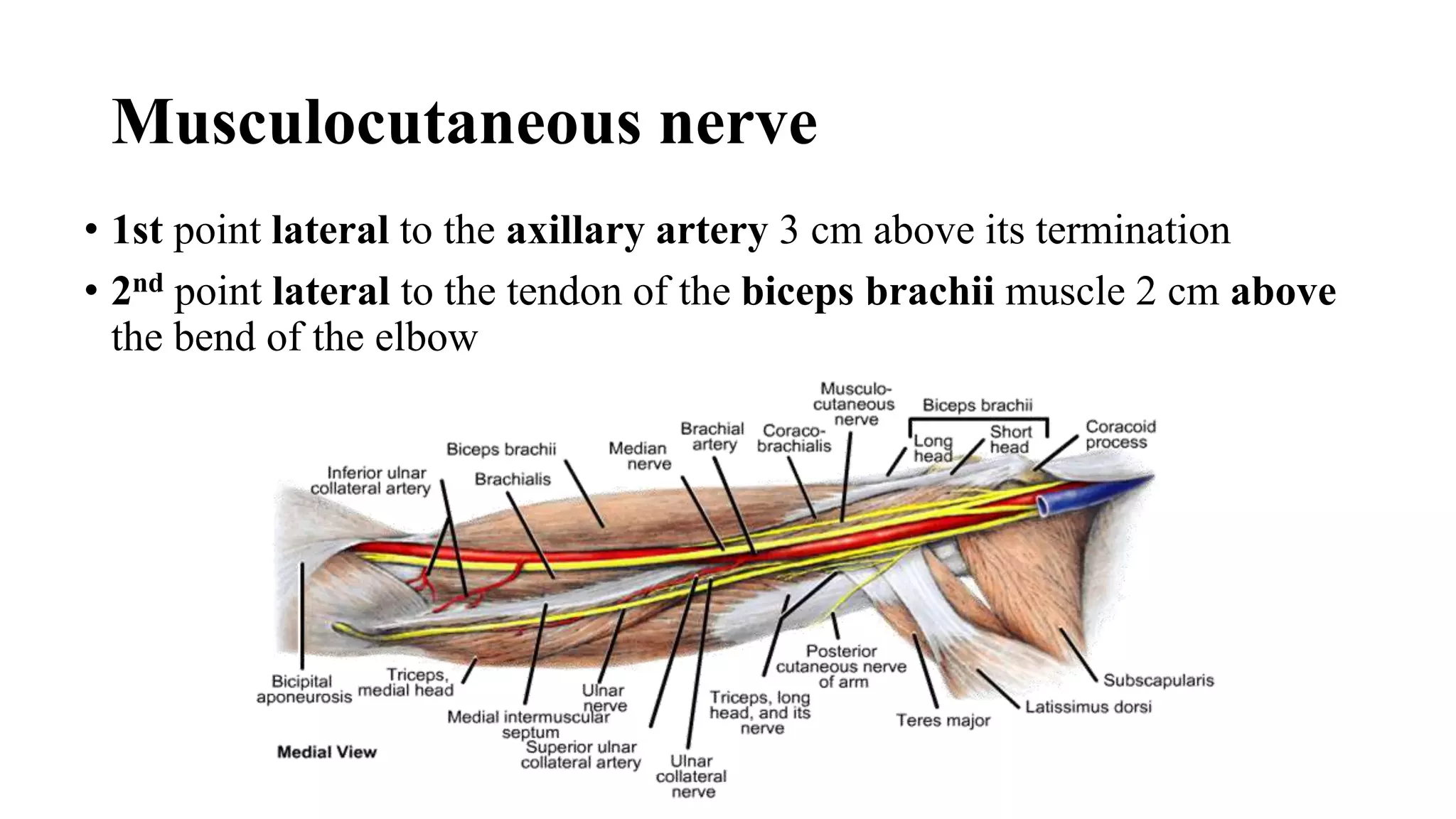 Surface marking upper limb | PPTX