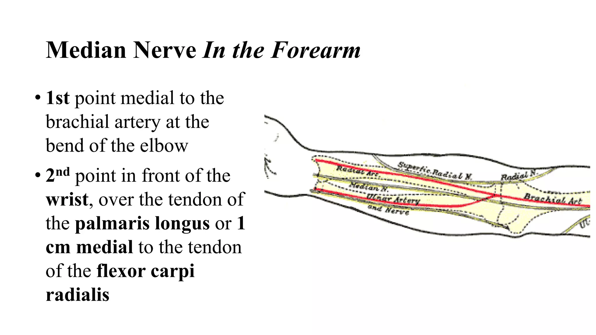 Surface marking upper limb | PPTX