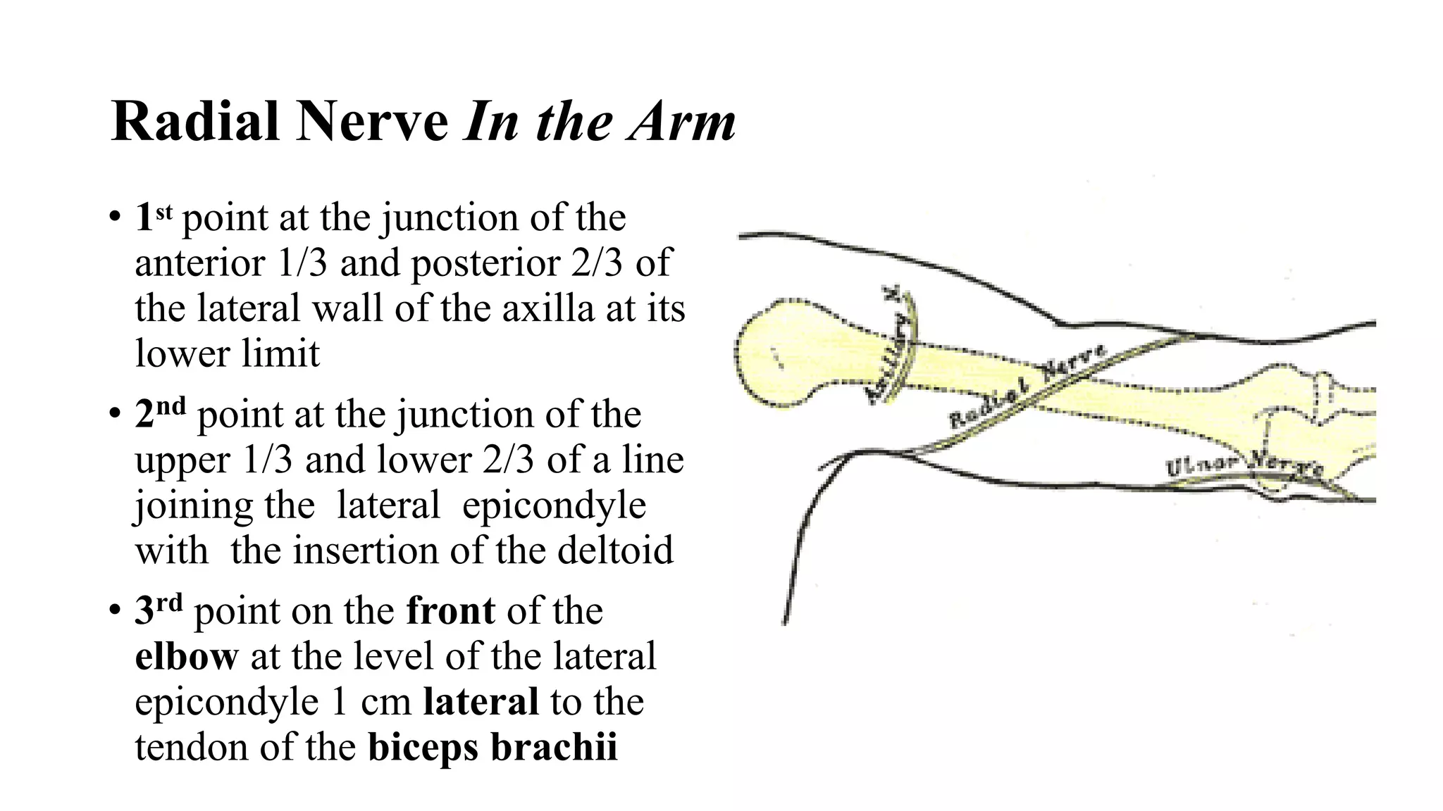 Surface marking upper limb | PPTX
