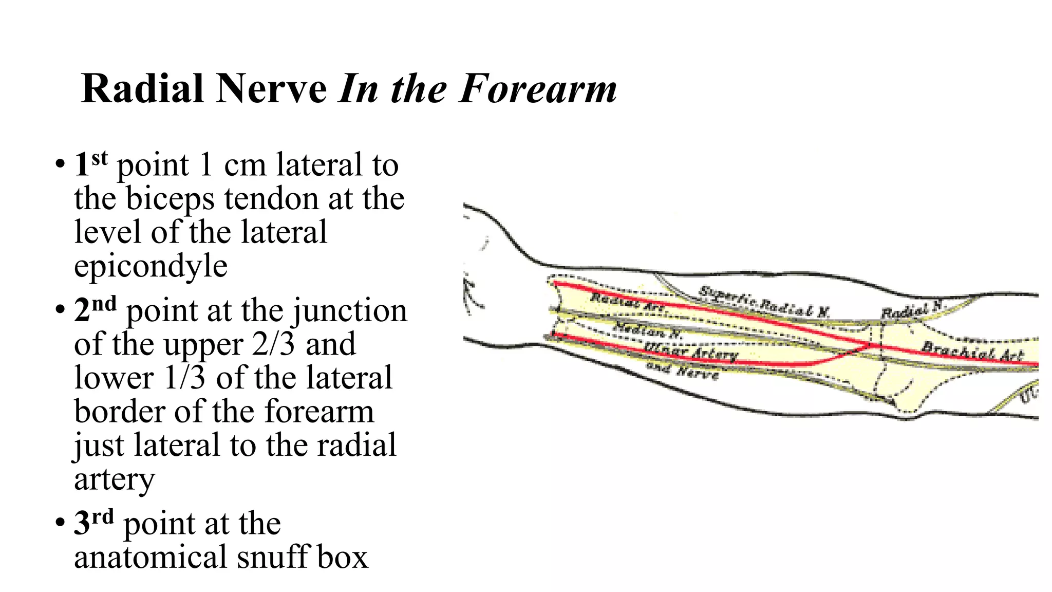 Surface marking upper limb | PPTX