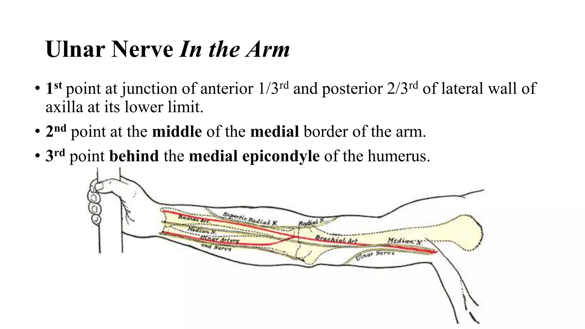 Surface marking upper limb | PPTX