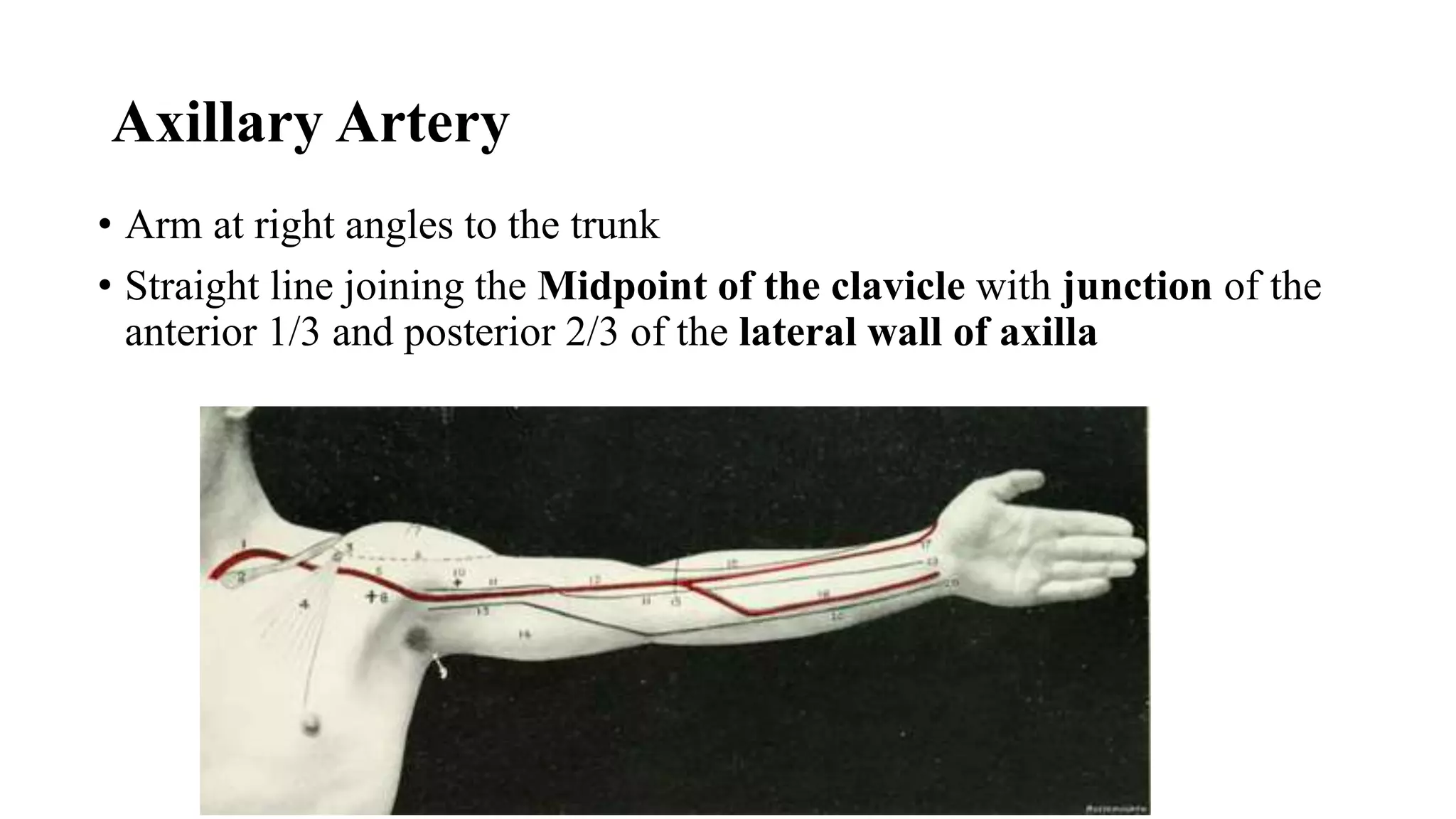 Surface marking upper limb | PPTX