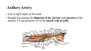 Surface marking upper limb | PPTX