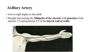 Surface marking upper limb | PPTX