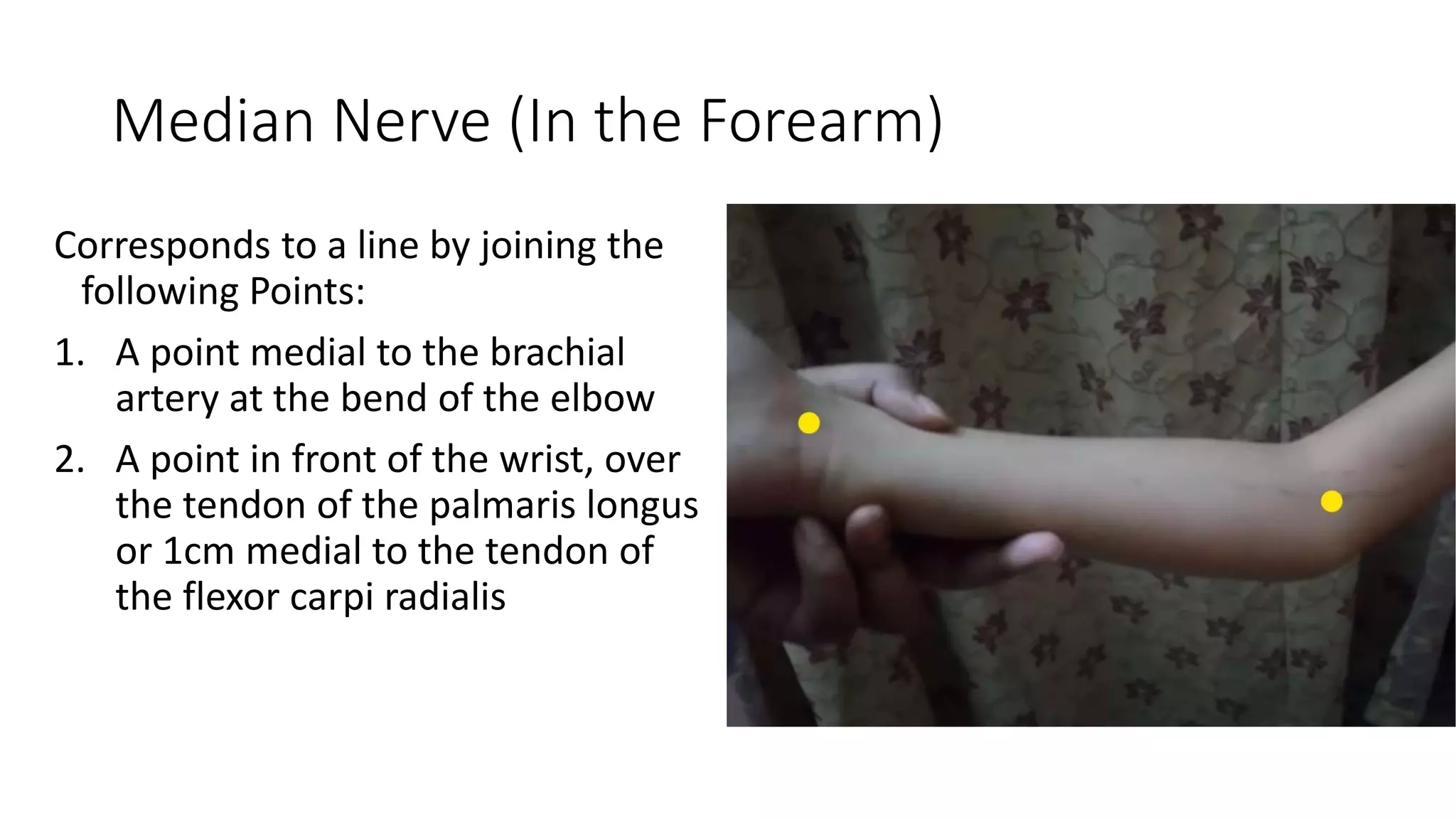 Surface marking upper limb | PPTX