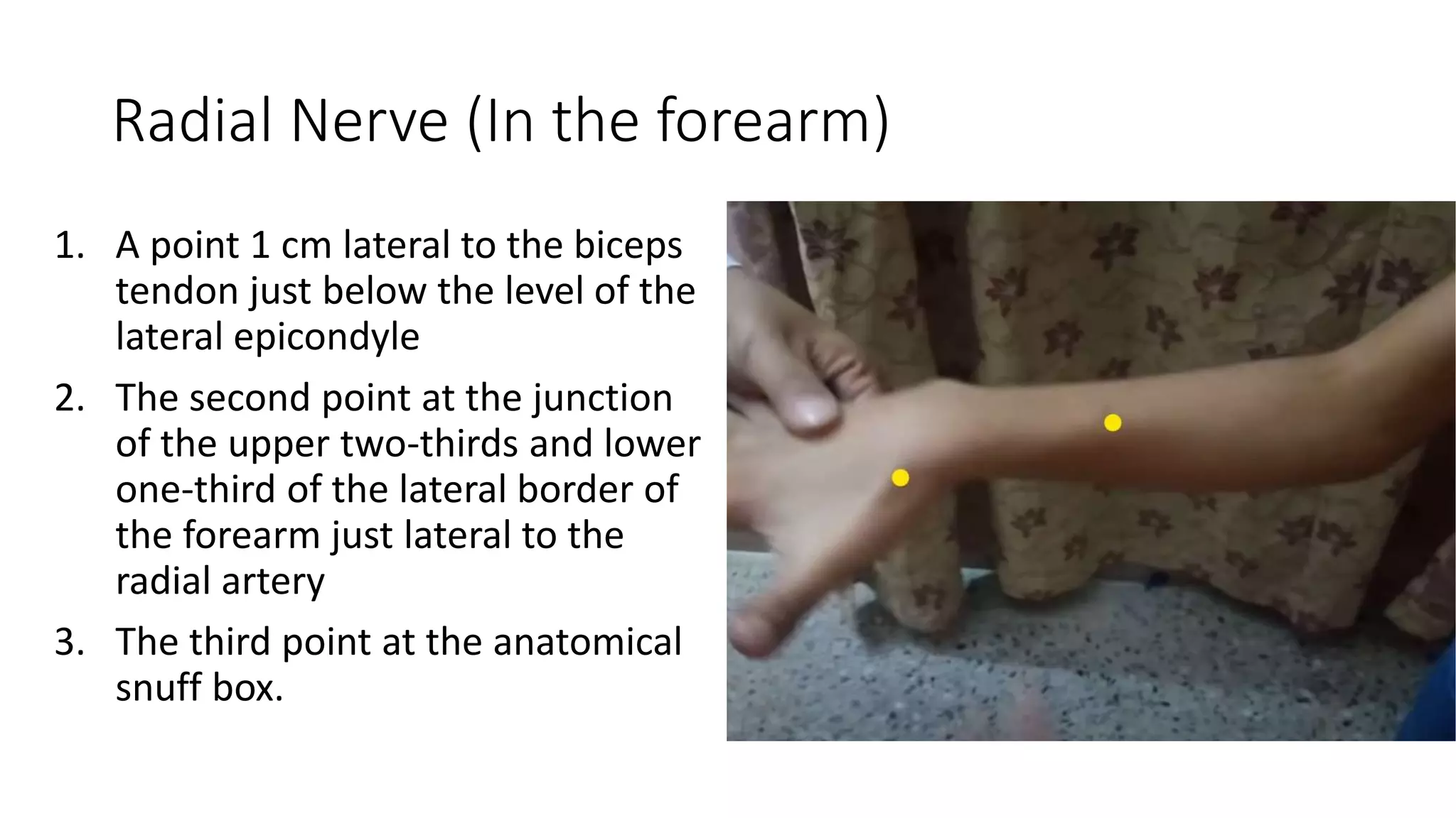 Surface marking upper limb | PPTX