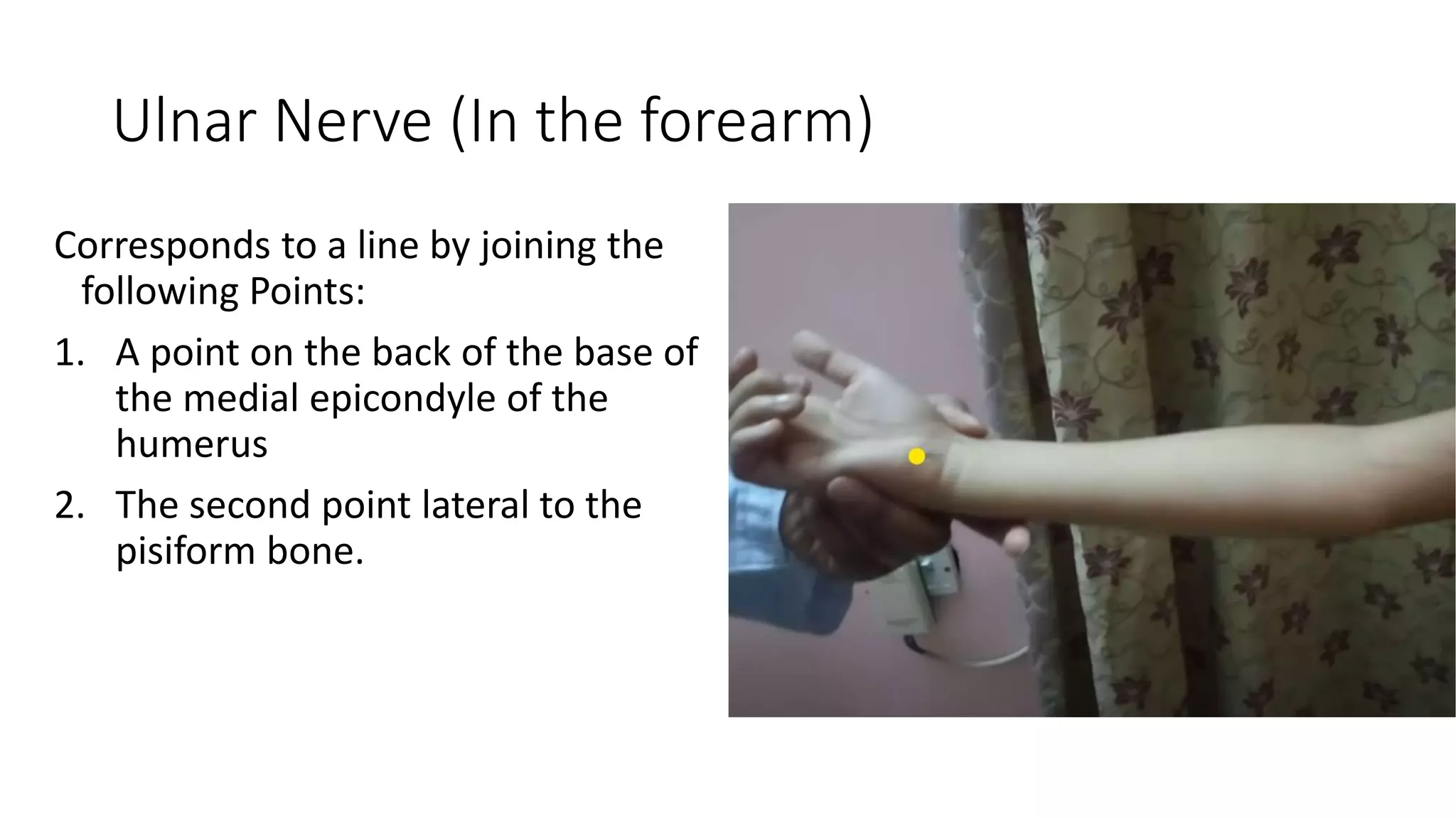 Surface marking upper limb | PPTX