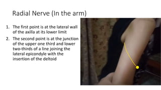 Surface marking upper limb | PPTX