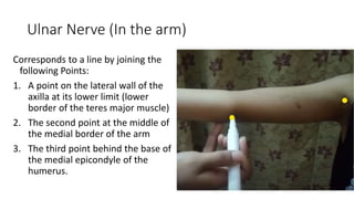 Surface marking upper limb | PPTX