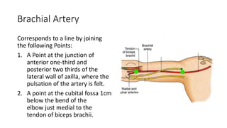 Surface marking upper limb | PPTX