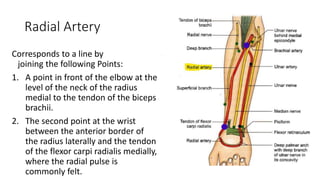 Surface marking upper limb | PPTX