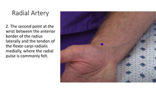 Surface marking upper limb | PPTX