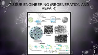 Surface_Modification | PPT