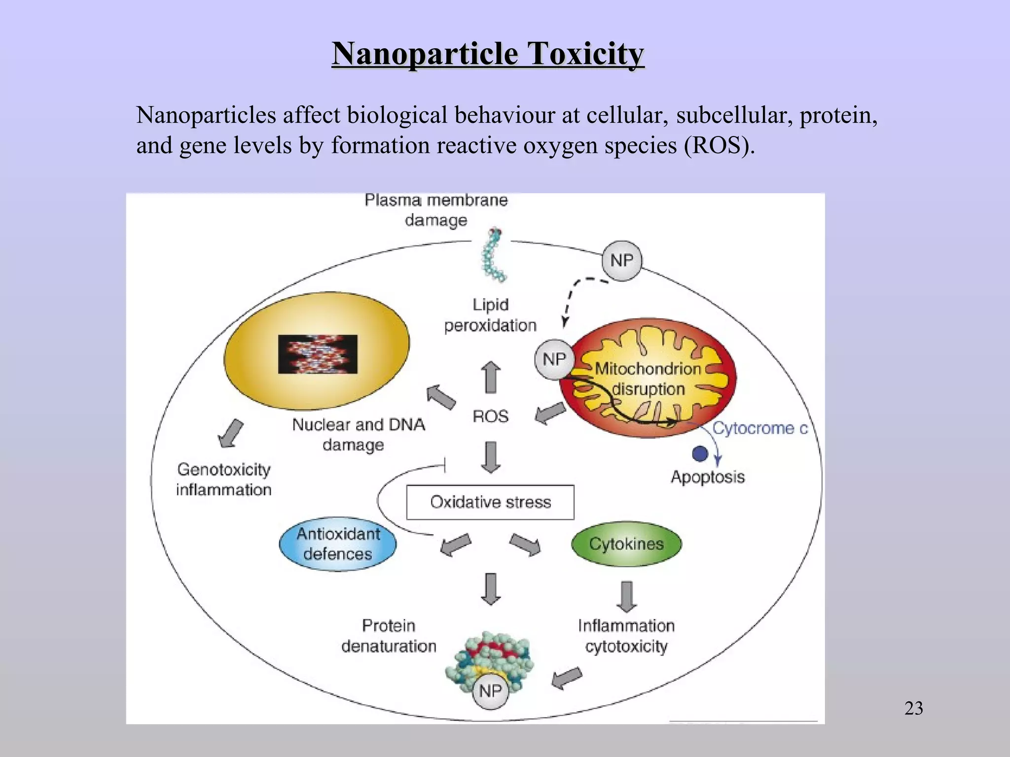 Surface Modification of Nanoparticles for Biomedical Applications | PPT