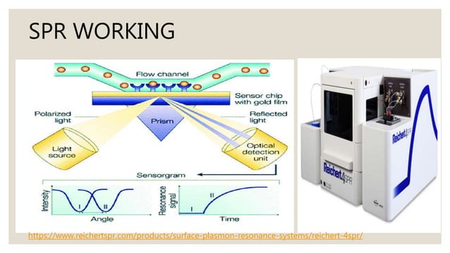 Surface plasmon resonance | PPTX