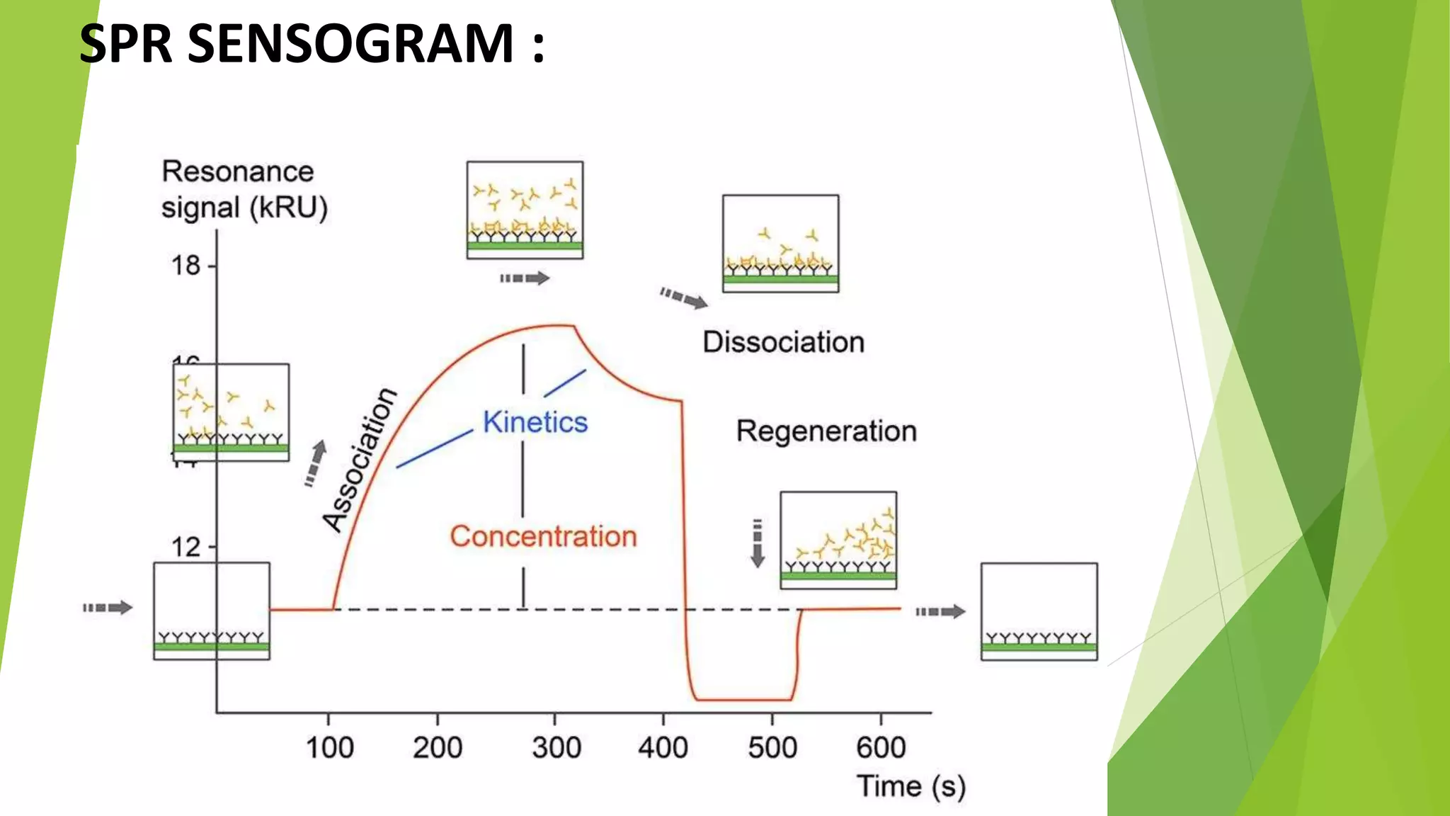 SURFACE PLASMON RESONANCE (SPR).pptx