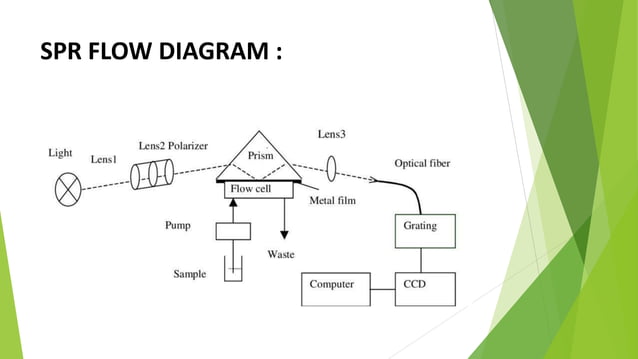SURFACE PLASMON RESONANCE (SPR).pptx
