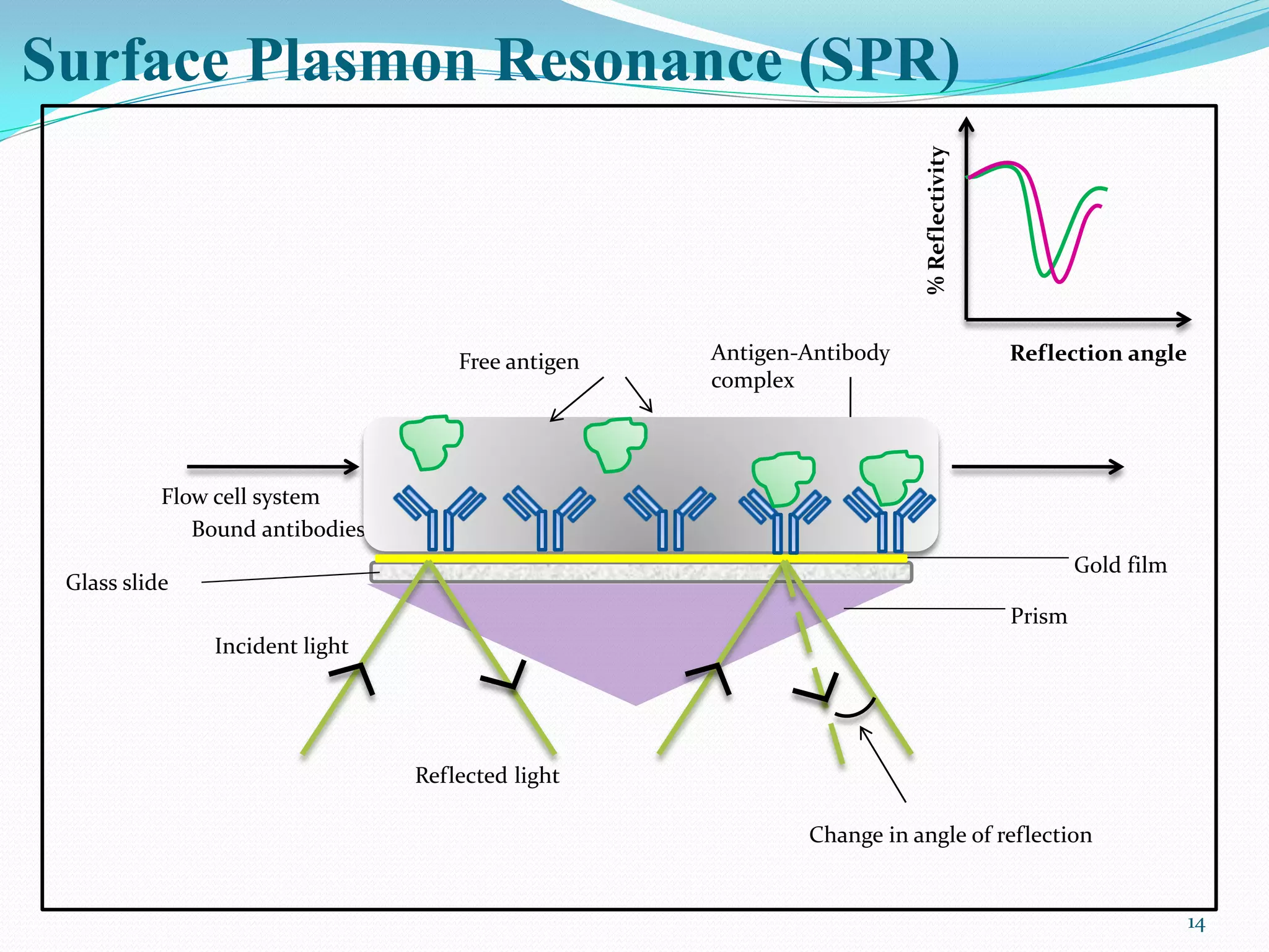 Surface Plasmon Resonance (SPR) and its Application | PDF
