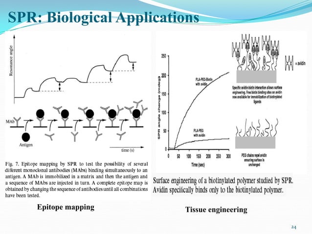 Surface Plasmon Resonance (SPR) and its Application | PDF
