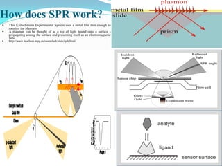 Surface Plasmon Resonance (SPR) and its Application | PDF