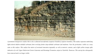 Surfaces sequenece boundary and their types | PPTX