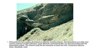 Surfaces sequenece boundary and their types | PPTX