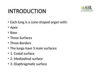 SURFACES OF LUNGS (ANATOMY)-WPS Office.pptx