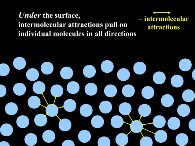 Surface tension | PPT | Chemistry | Science