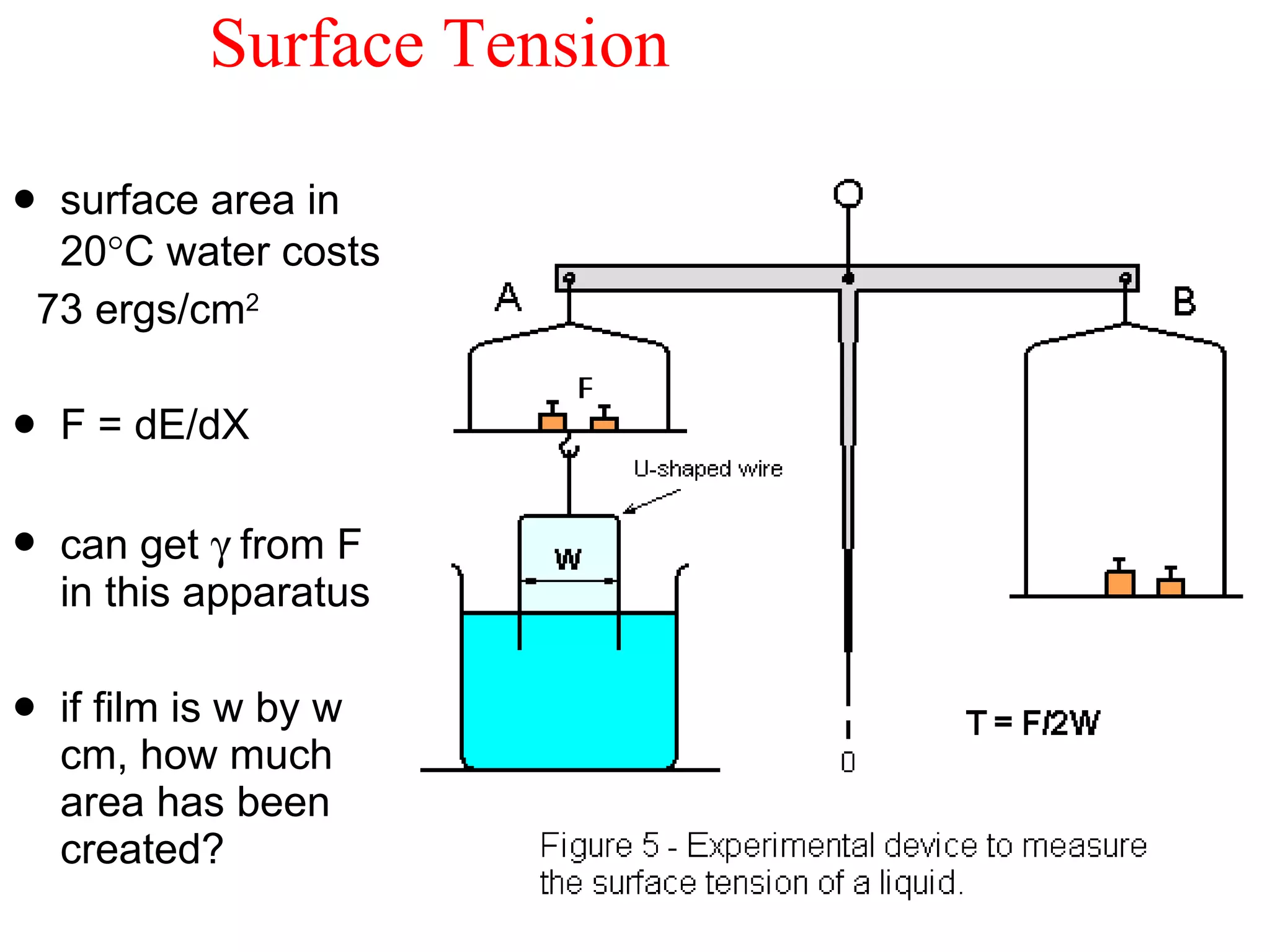 Surface tension | PPT | Chemistry | Science