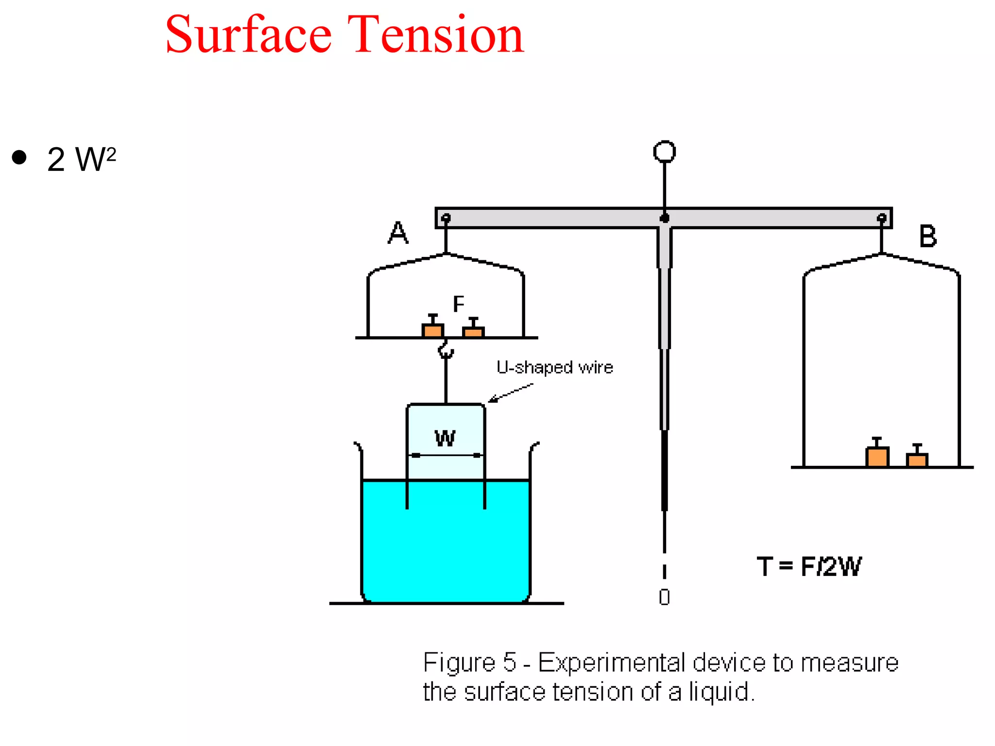 Surface tension | PPT