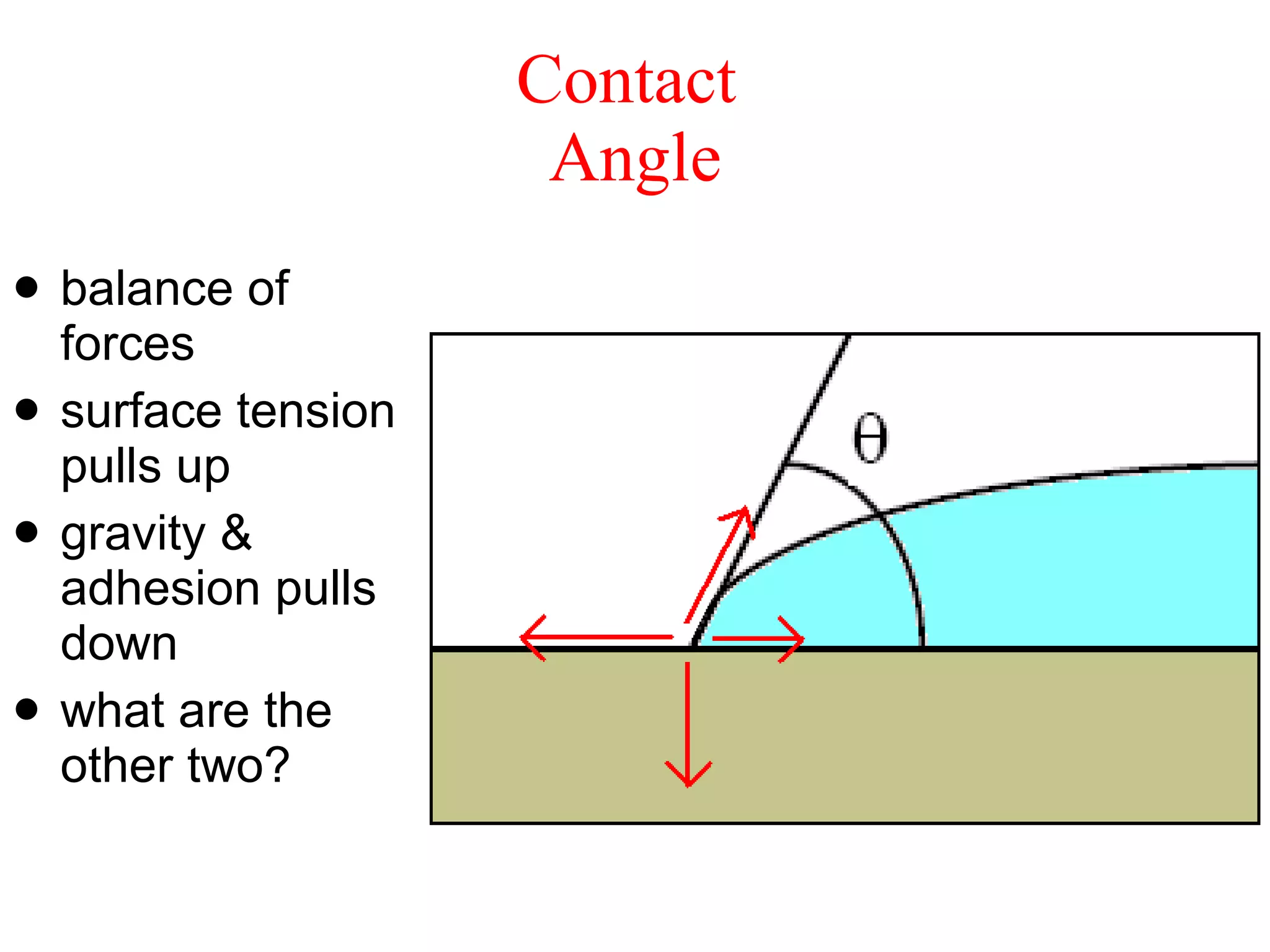 Surface tension | PPT